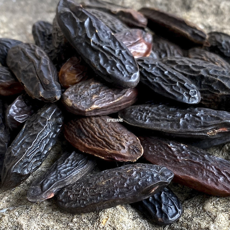 Buy Tonka Beans Online | Epiciane