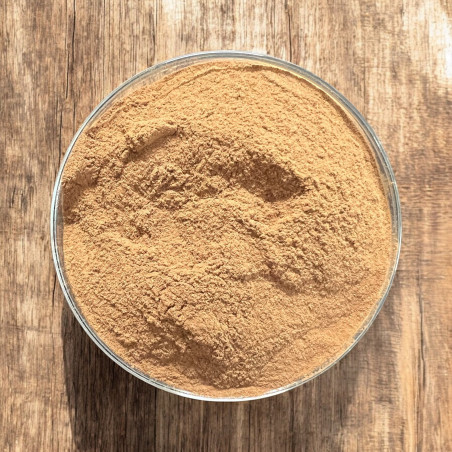 Ground Ceylon Cinnamon | Epiciane